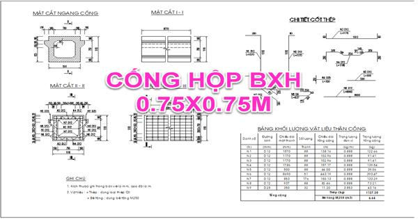Cốt thép cống hộp BxH 0.75x0.75